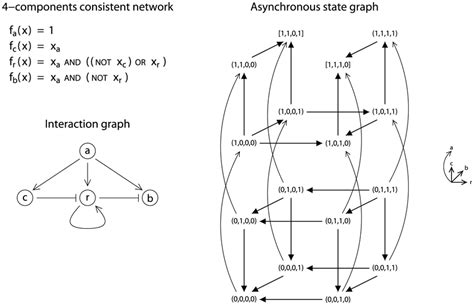 a minimal consistent boolean network with 4 components the download scientific diagram