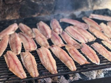 Zadar Kornaten Bootstour Mit Mittagessen Und Zwischenstopps Zum