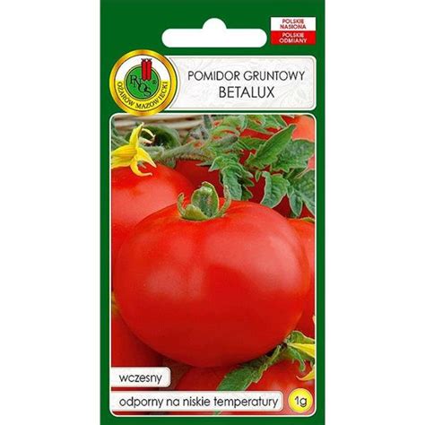 Pomidor Gruntowy Betalux 10g Standard Rolno Ogrodniczy Pl