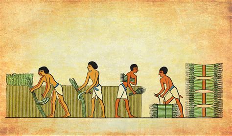 L invenzione dellagricoltura è all origine della civiltà