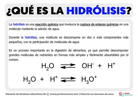 Qué es la Hidrólisis Definición de Hidrólisis