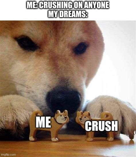 True Story Imgflip