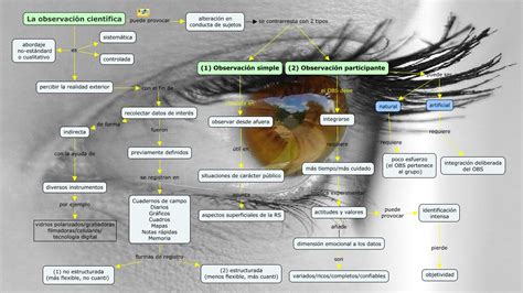 Introducción a las Ciencias Sociales Mapa conceptual del Objeto de Estudio
