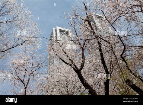 La tour du gouvernement métropolitain de Tokyo vue au dessus de