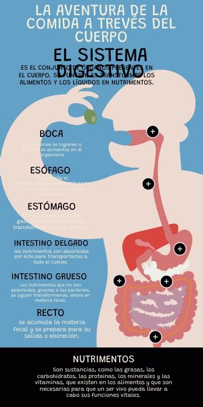 La aventura a través del cuerpo