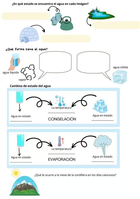 Transformaci N Del Agua Ficha Sobre Cambios De Estado Y El Ciclo Del