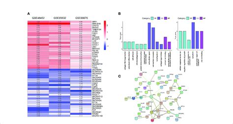 Integrative Analysis Of Degs By Rra Functional Enrichment And Ppi