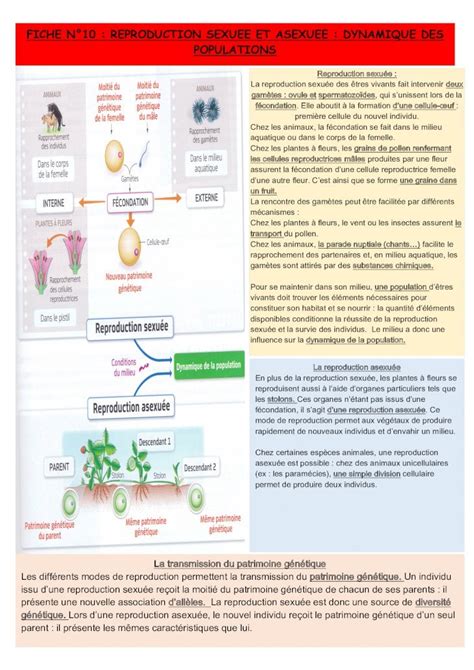PDF Fiche n10 Reproduction sexuée et asexuée FICHE N 10