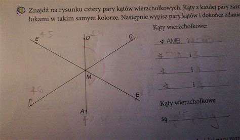 znajdź na rysunku cztery pary kątów wierzcholkowych Katy z każdej pary
