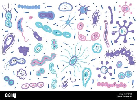 Conjunto de bacterias células Formas planas colección microorganismo