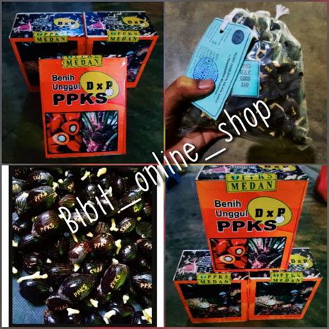 Benih Bibit Polong Kecambah Sawit Ppks Varietas Dxp Lazada Indonesia