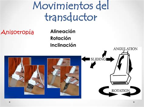 PPT PRINCIPIOS BÁSICOS DE ULTRASONIDO PowerPoint Presentation free