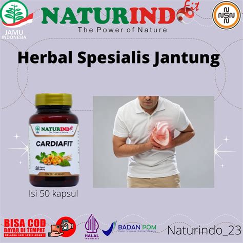 Jual Herbal Lemah Jantung Berdebar Cemas Pusing Nyeri Dada Kliyengan