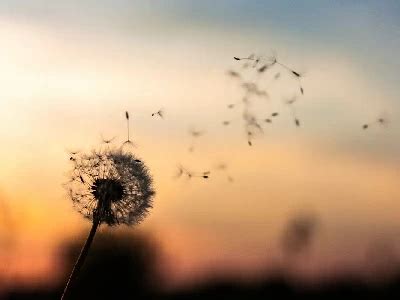 40 Frases De O Tempo Voa Para Refletir Sobre A Velocidade Da Vida