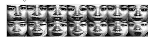 figure 1 from facial expression recognition based on binarized statistical image features