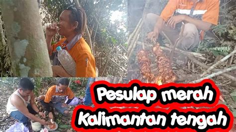 Bakar Ikan Dan Makan Bersama Di Hutan Kalimantan Di Pinggiran Tambang