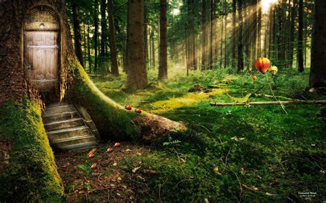 Rainy Forest Wallpapers Top Free Rainy Forest Backgrounds