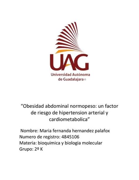 Obesidad Abdominal Normopeso Un Factor De Riesgo De Hipertensi N