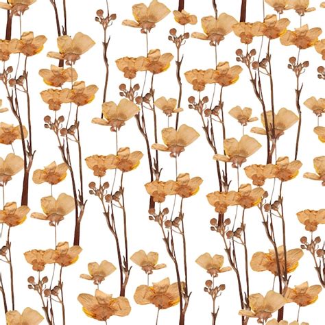 Patrón transparente con flores flores secas Vector Premium