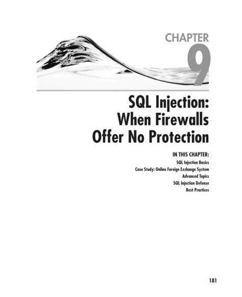 pdf sql injection when firewalls offer no protection · sql injection basics the basic idea
