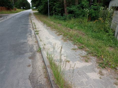 Zarośnięty chodnik przy ulicy Browarnej w Końskich 02 TKN24