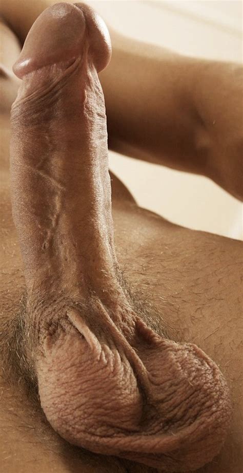 Worship The Cock Mrcurious