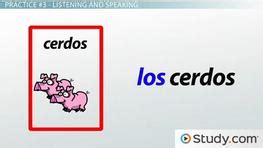 Indefinite Articles In Spanish Un Una Unos Unas Video Lesson