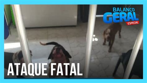 Mulher morre após ser atacada por cachorros da raça pitbull em São