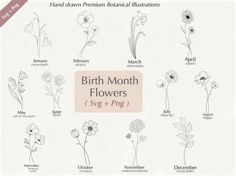 Geburtsmonat Blumen Svg Geburtstagsblume Blumen Clipart Etsy De