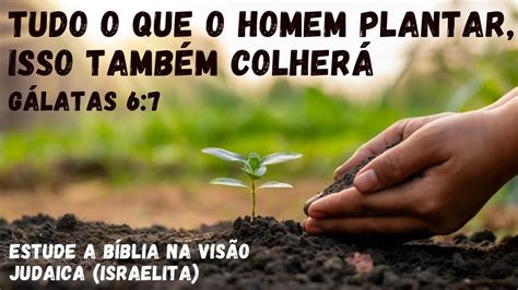 TUDO O QUE O HOMEM PLANTAR ISSO TAMBÉM COLHERÁ Gálatas 6 7