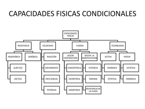 Amanecer Declarar Folleto Que Son Y Cuales Son Las Capacidades Fisicas