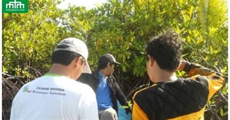Mangrove Map Jasa Survei Dan Pemetaan Mangrove Mangrove Map Kirimkan