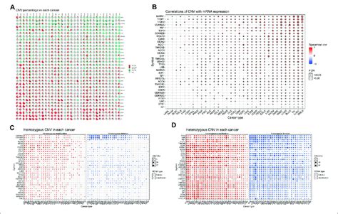 Copy Number Variation Cnv Analysis Of Senescence Genes A