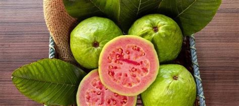 Los Extraordinarios Beneficios De La Hoja De Guayaba Infobae