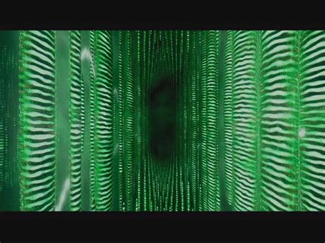 The Matrix Wallpapers And Screensaver Wallpapersafari