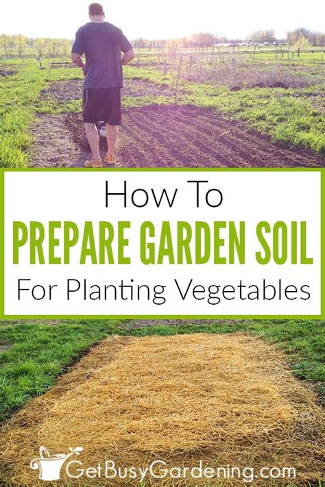 Preparing Soil For Planting Vegetable Garden Beds 6 Steps Get Busy