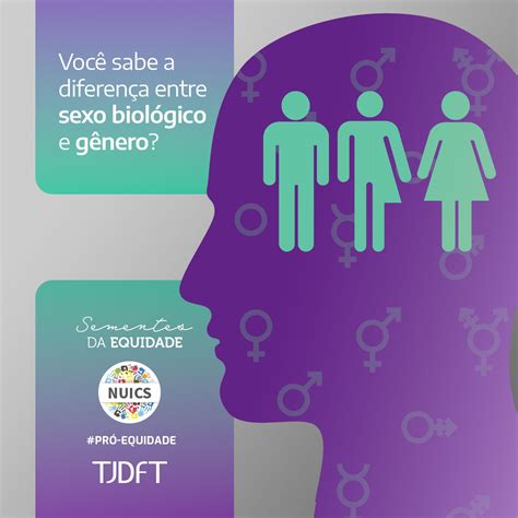 Você sabe a diferença entre sexo biológico e gênero Tribunal de