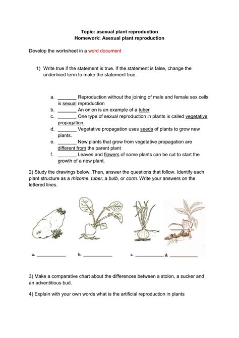 Plant Reproduction Worksheet Answers Ame My Id