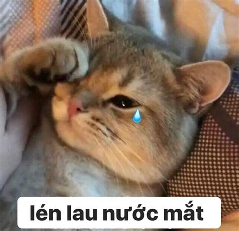 T Ng H P Meme M O Cute Ng Y U Nh T Tr N M Ng