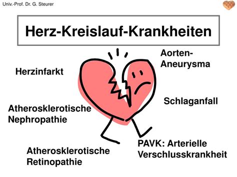Ppt Herz Kreislauf Erkrankungen Basis Der Gesunden Ern Hrung