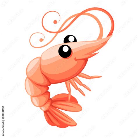 Cute Shrimp Cartoon