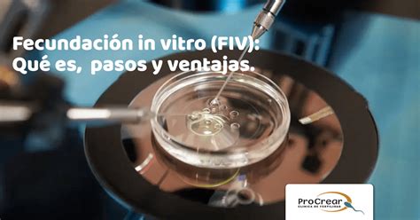 Fecundaci N In Vitro Fiv Qu Es Pasos Y Ventajas Procrear