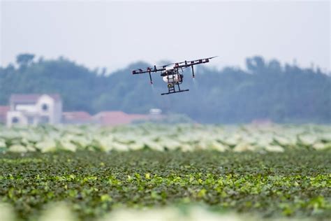 Agricultura de precisão saiba o que é e como utilizar