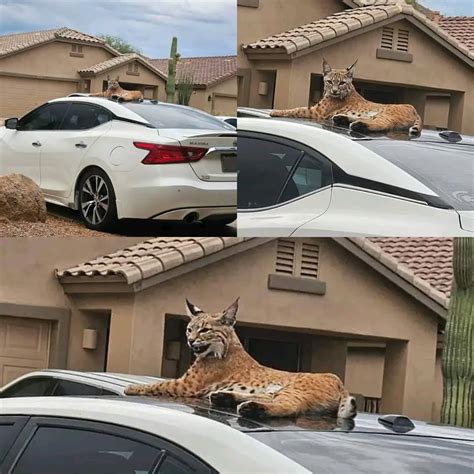 27 Cursed Images That Give Us The Chills Wtf Gallery EBaum S World