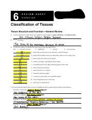 Classification Of Tissues General Review Exercise Course Hero