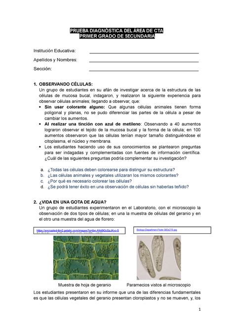Evaluación diagnóstica CTA 1 PRUEBA DIAGNÓSTICA DEL ÁREA DE CTA