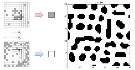 11 5 examples of biological cellular automata models mathematics libretexts