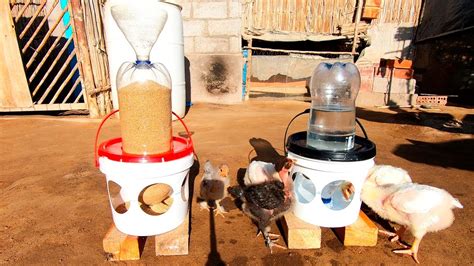 Como hacer comedero y bebedero automático para pollitos y gallinas con