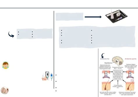 Mapa Mental Sinais Vitais Parte 1 PDF Temperatura Termômetro