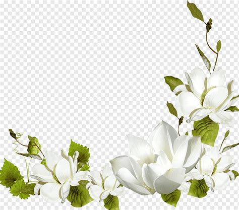 Marcos De Flores Flor Blanca Arreglos Florales Blanco Boda Png